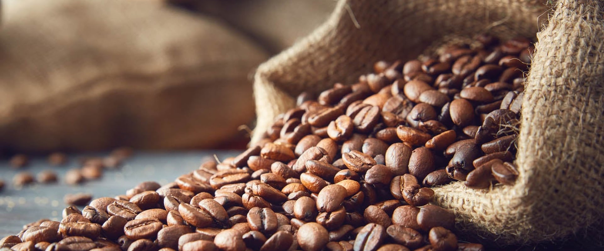 Understanding the Growing Conditions of Arabica Coffee Beans